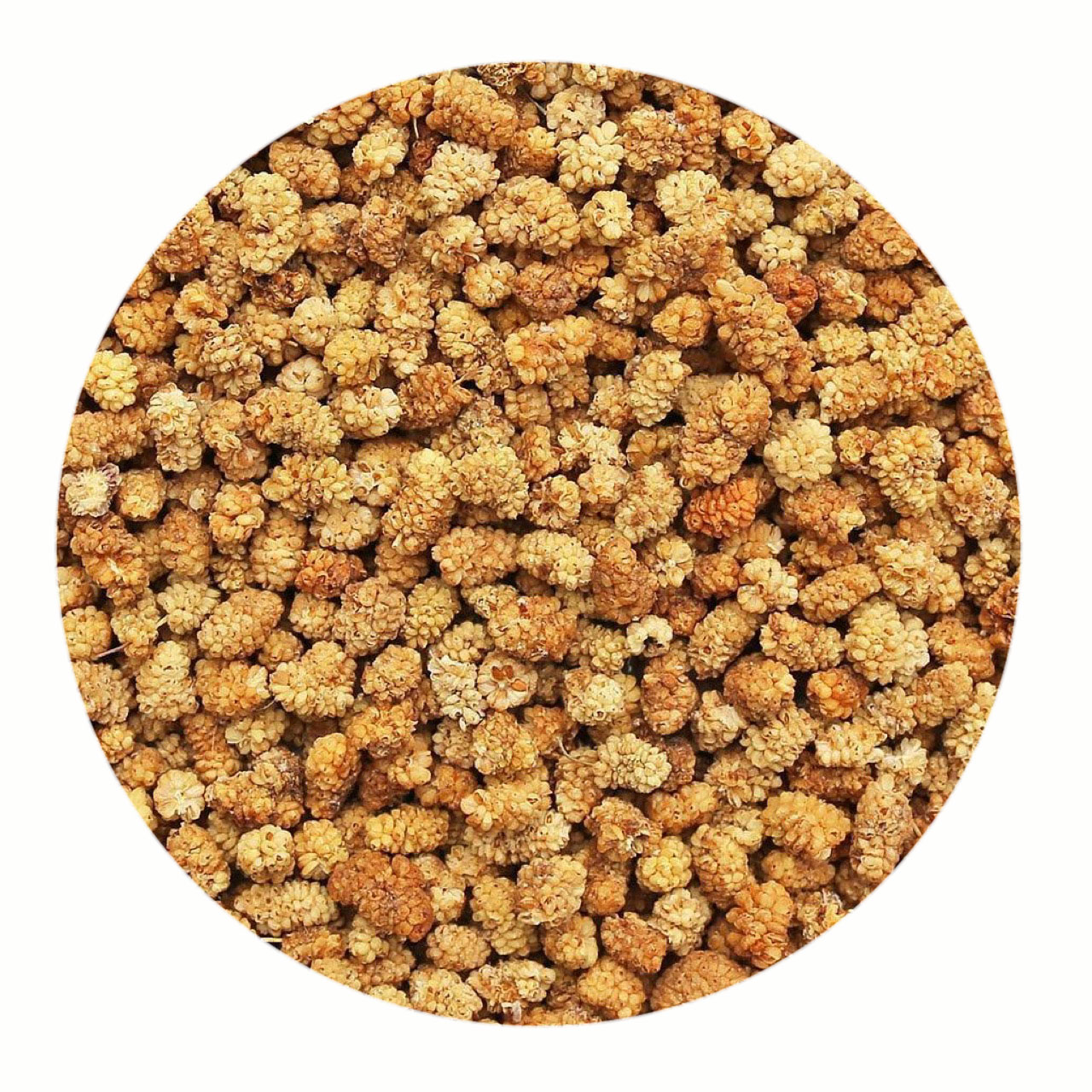 Witte Moerbeien - Groothandel Gedroogd Fruit NutriBoost