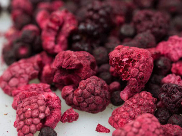 Gevriesdroogd Fruit Groothandel - NutriBoost