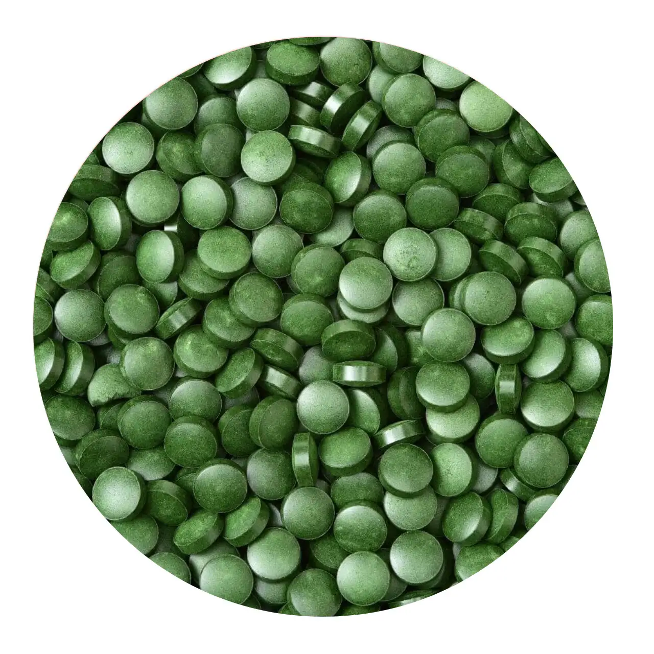 Chlorella Tabletten 500mg - Bulk & Private Label Groothandel