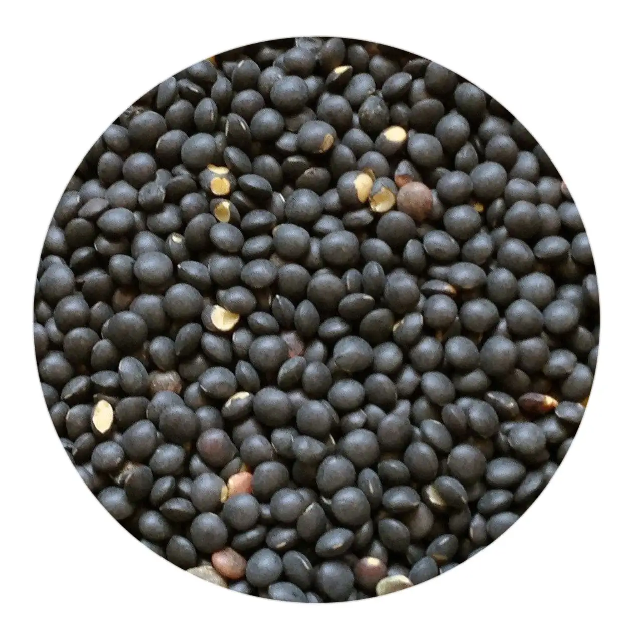 Beluga Linzen Bulk & Private Label | Biologische Groothandel