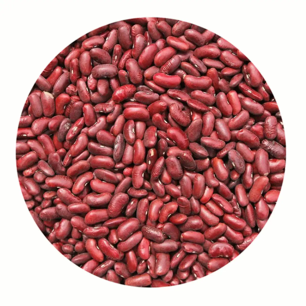 Kidneybonen - NutriBoost Superfood Groothandel