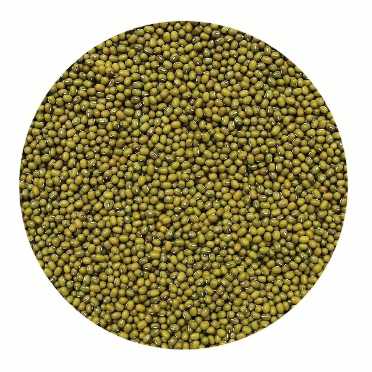 Mungbonen Groothandel | Biologisch, Bulk & Private Label
